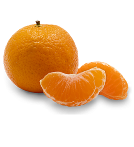 Clementina - Agribio